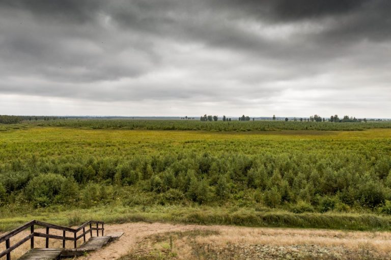 A Complete Guide to The Wild Region Of Podlasie, Northeastern Poland.